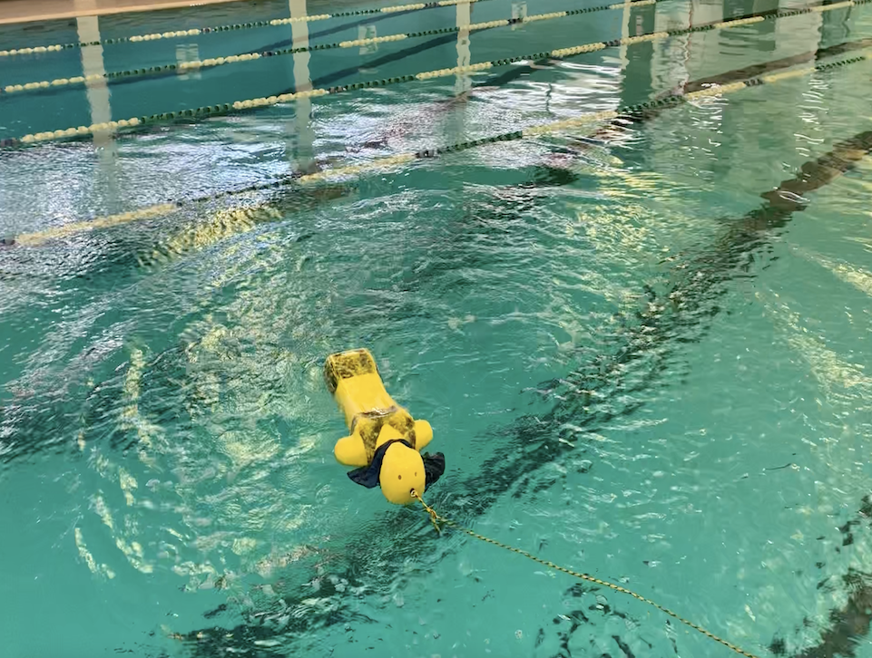 Aquatics Director Toolkit: Unannounced Drills - The Redwoods Group