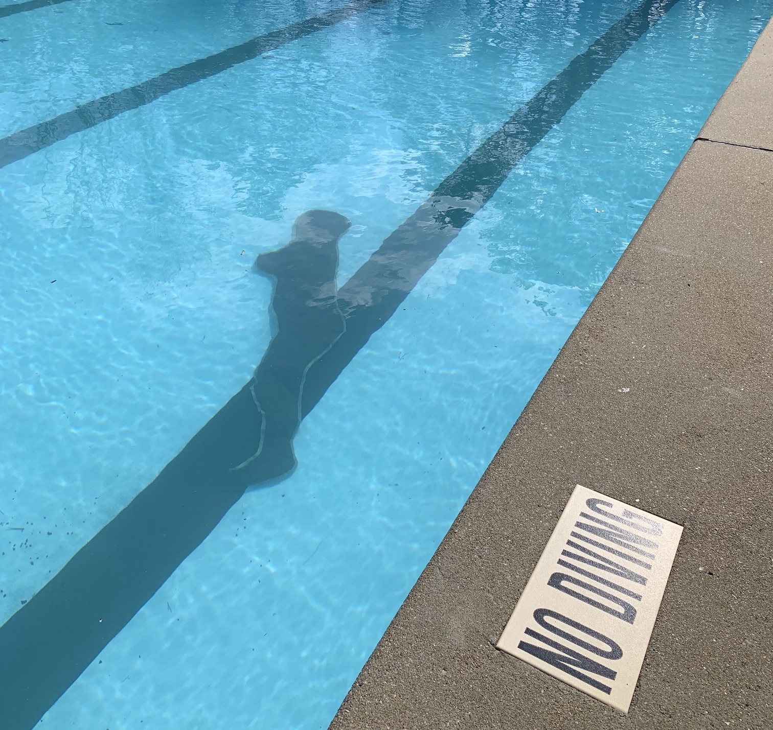 Aquatics Director Toolkit: Unannounced Drills - The Redwoods Group